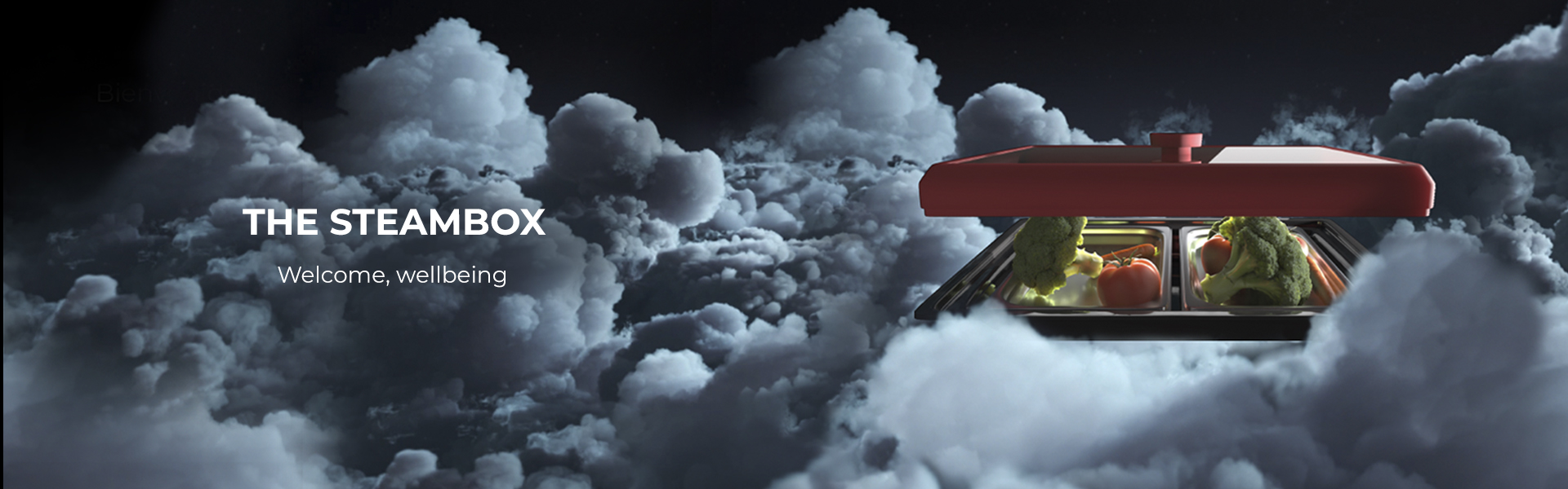 The SteamBox, tray for steam cooking in the oven | Teka