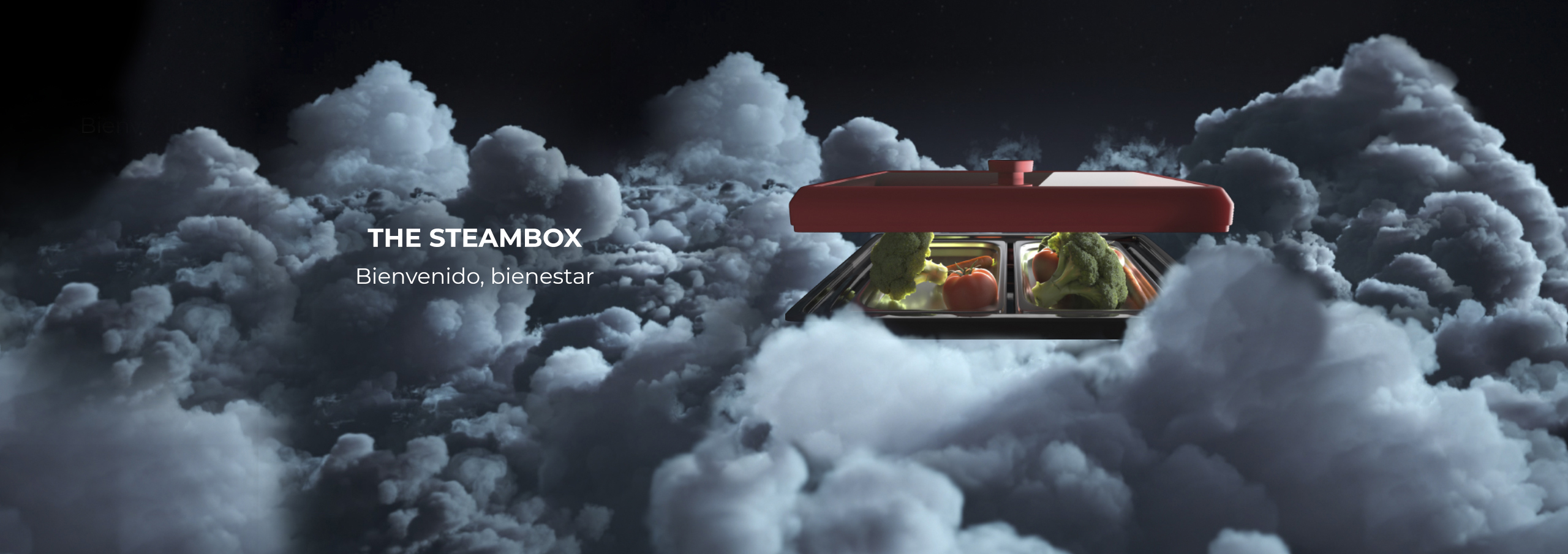 Kit The SteamBox para cocinar al vapor en el horno | Teka España