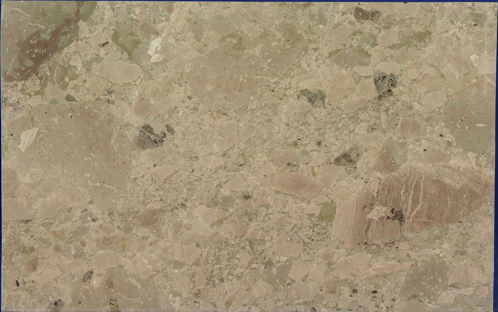 Ceppo (H) 1 ¼'' Slab | Products | AKDO Tile Dealers