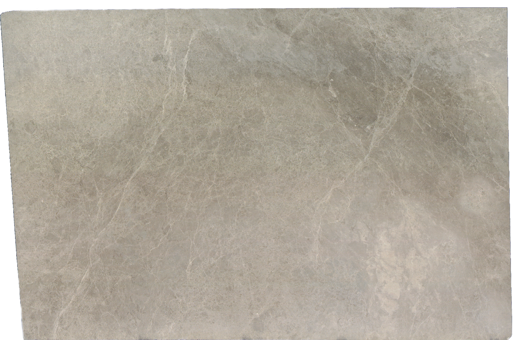 Odeon Beige (P) ¾'' Slab | Products | AKDO Tile Dealers