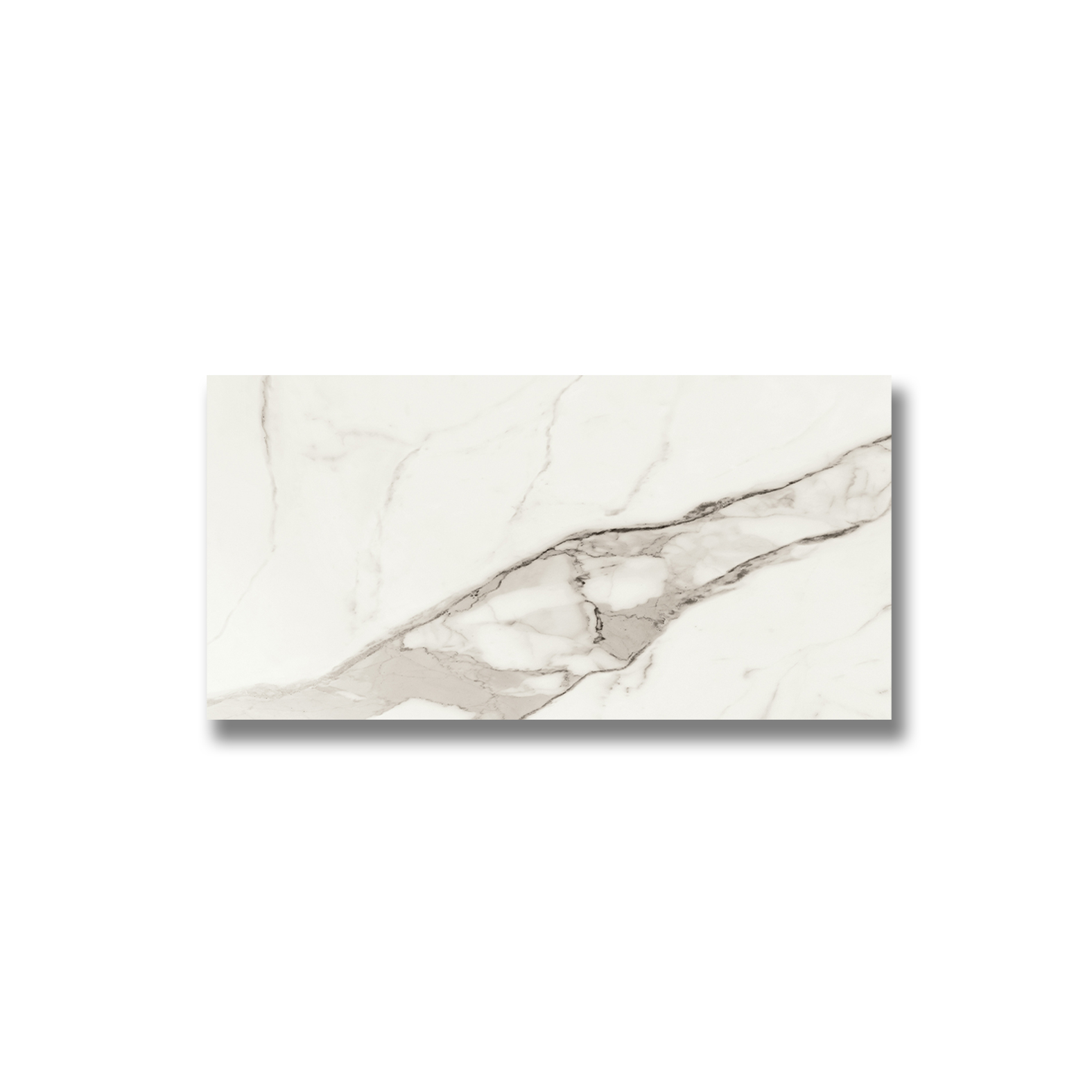 Elite 12" x 24" Statuario (G) | Products | AKDO