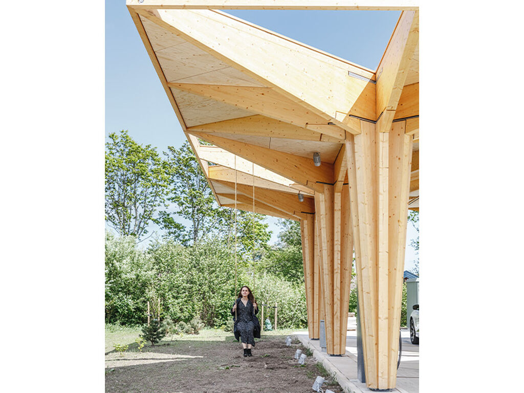 CLEVER, Denmark - LIGMAN - TH