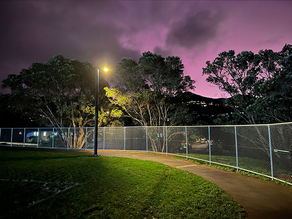 Newlands Park, New Zealand - LIGMAN - TH
