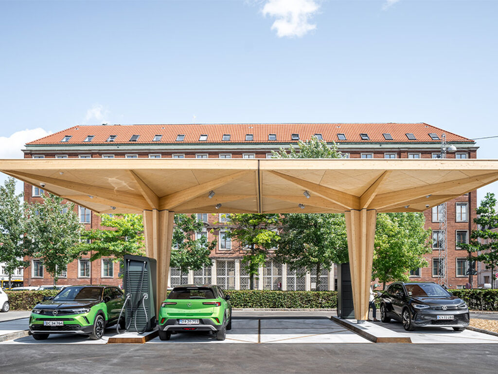 CLEVER, Denmark - LIGMAN - ZH