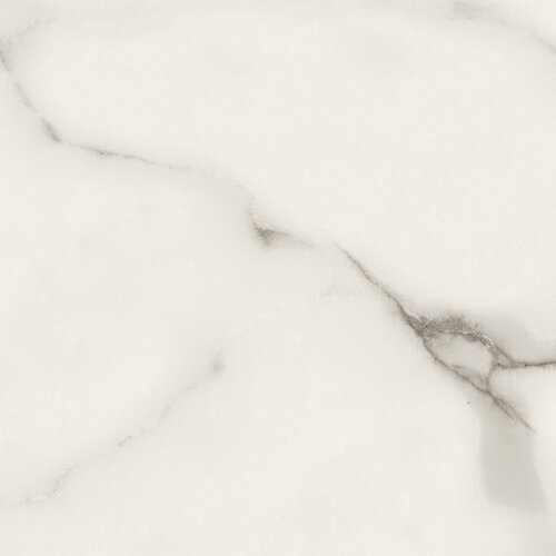 calacatta | Collections - El Molino