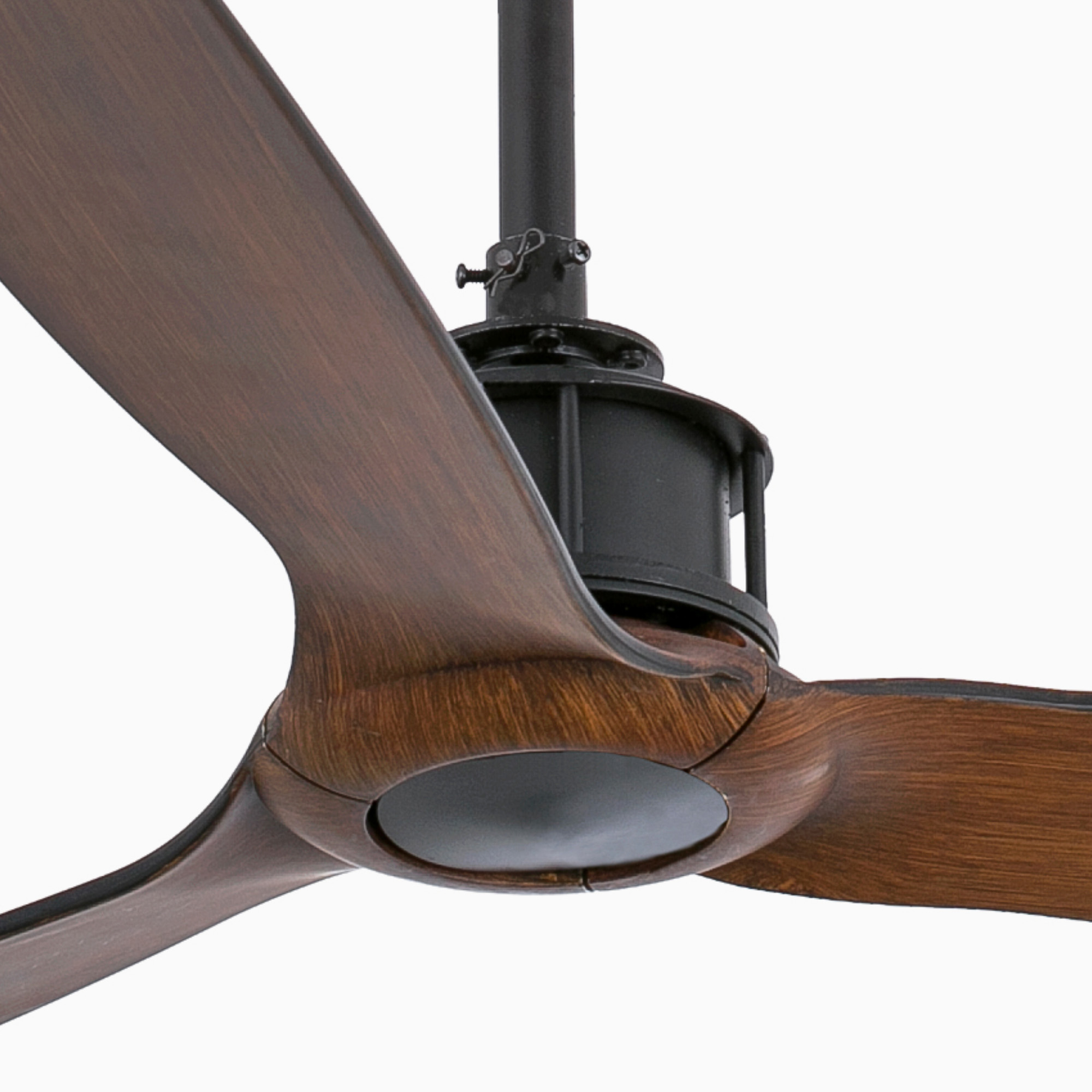 JUST FAN M Black/walnut fan WIZ