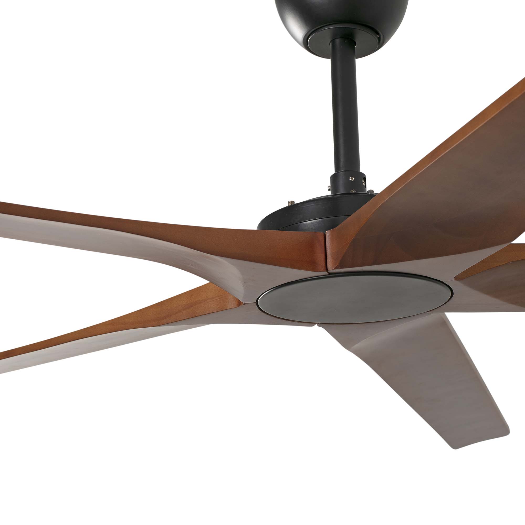 BIGWOOD 20 XL Black/walnut fan FSC