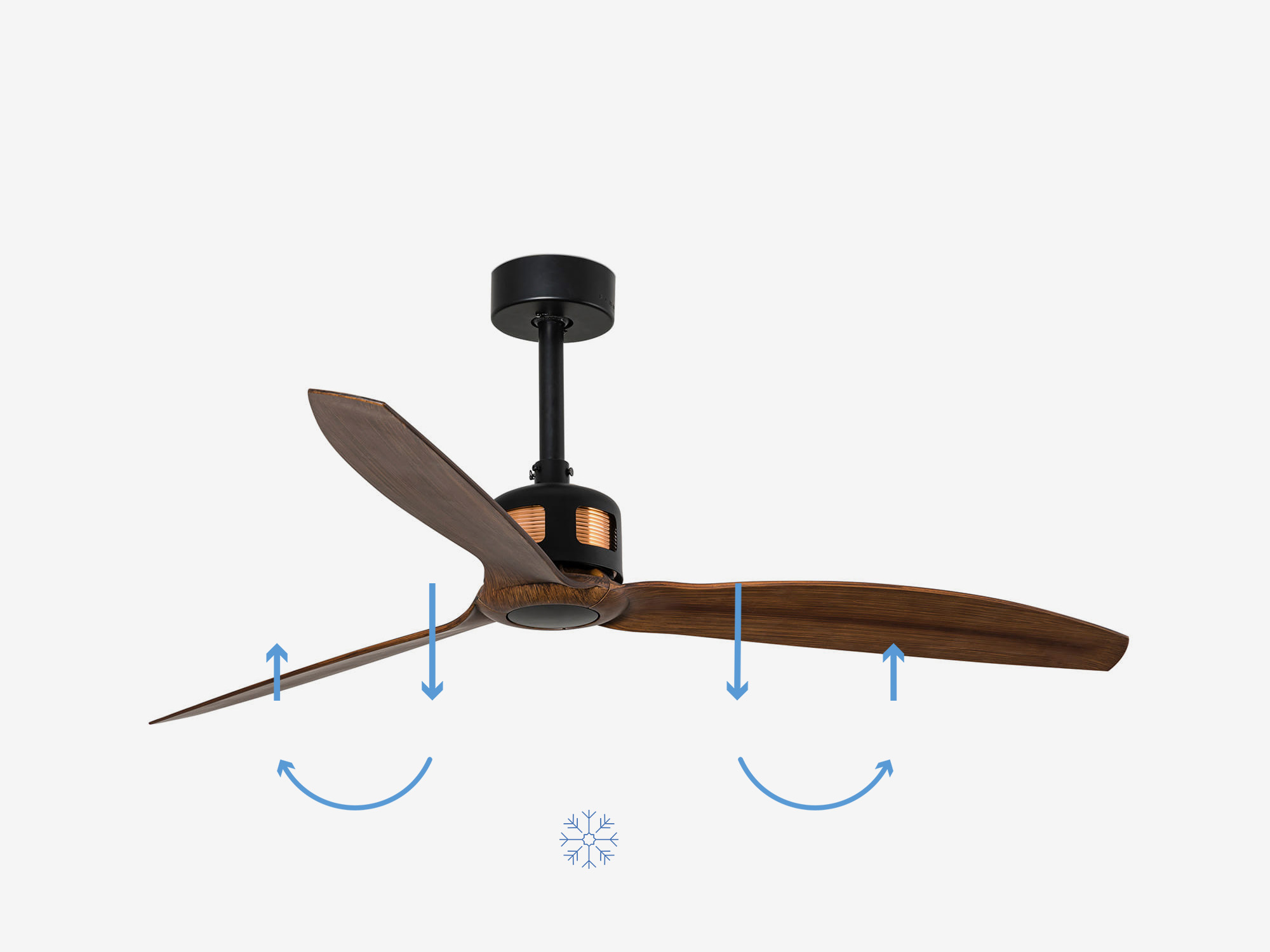 COPPER FAN M Black/walnut fan