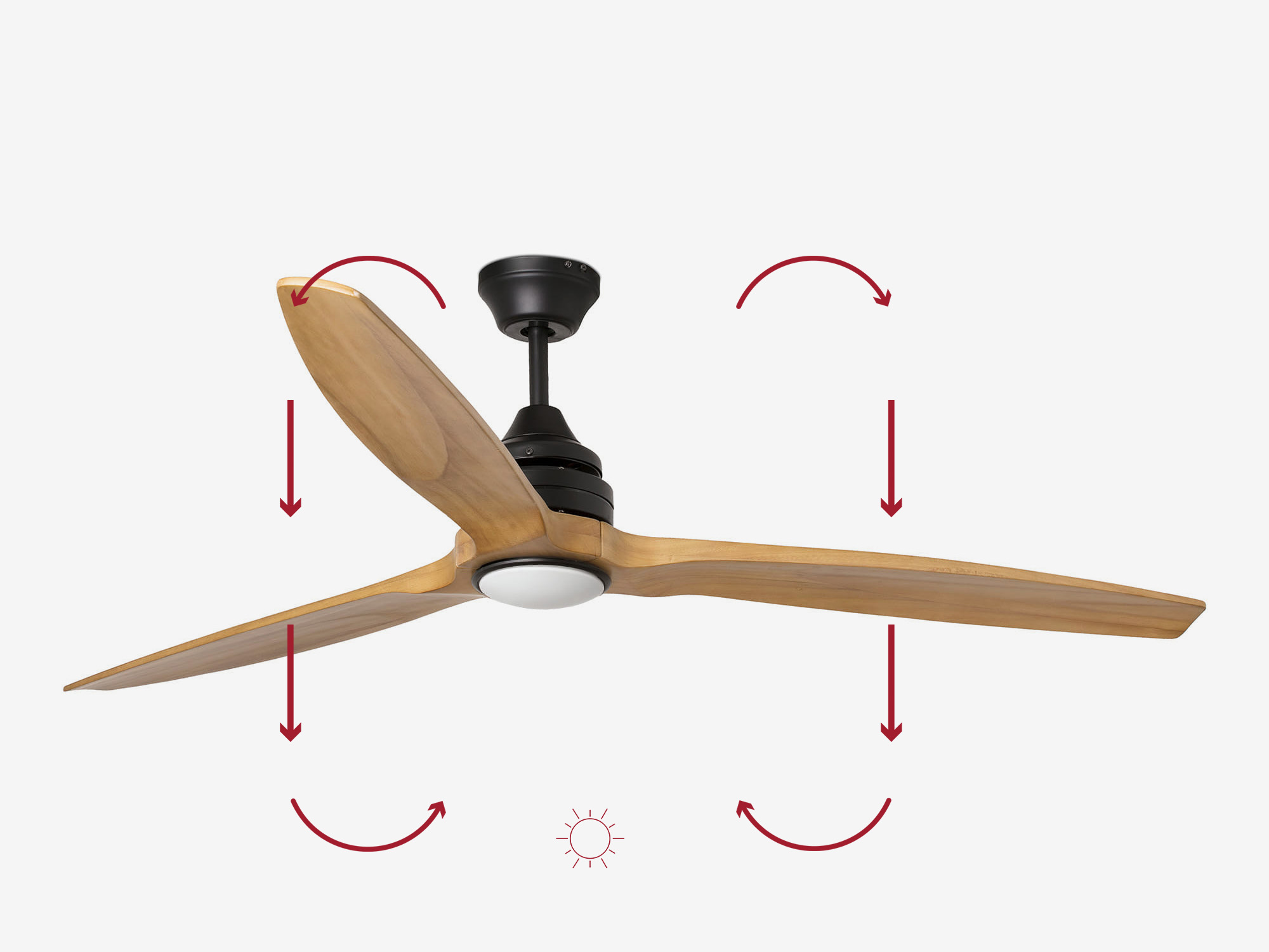 ALO L Black/wood fan CCT