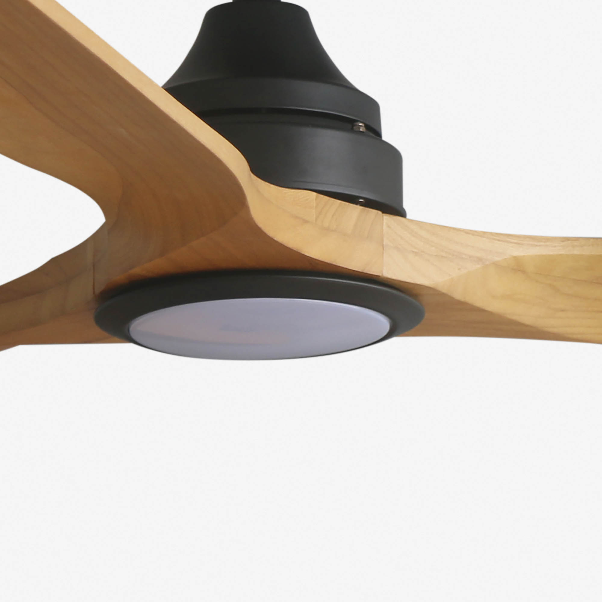 ALO L Black/wood fan CCT