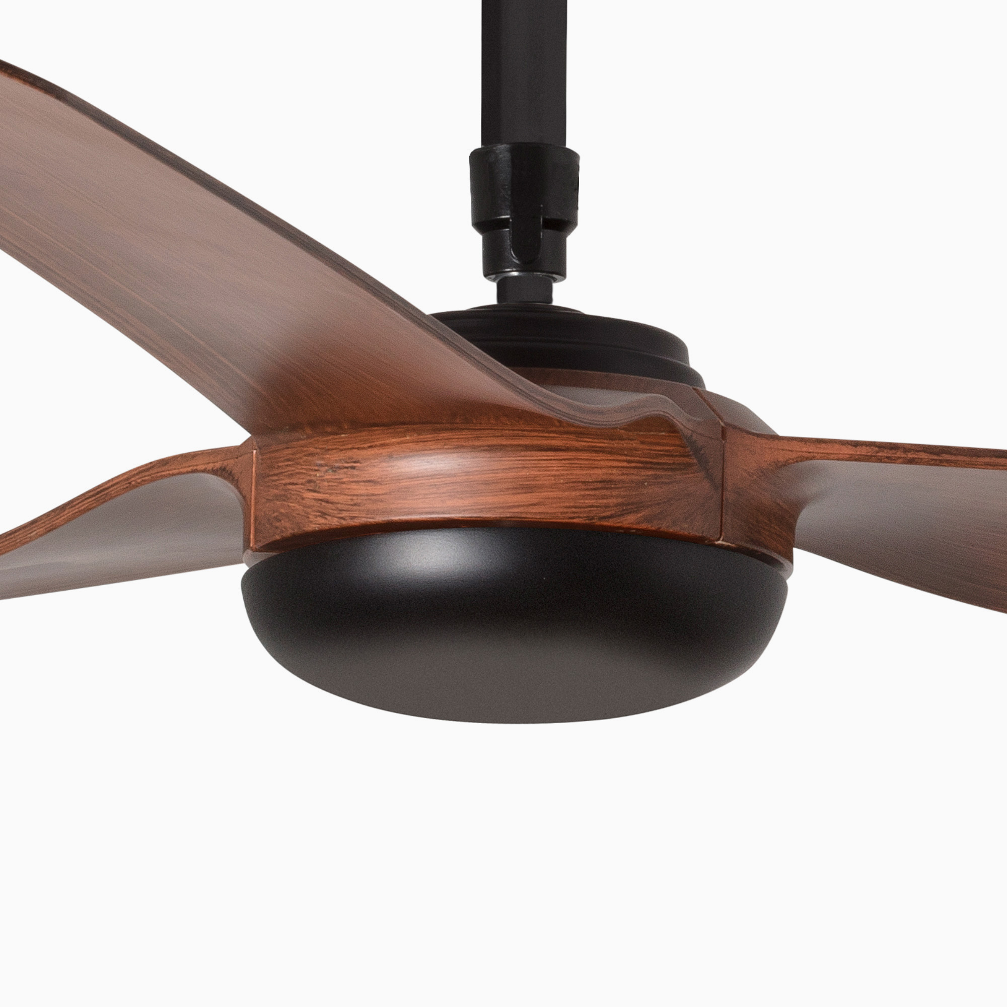 PUNT M Black/dark wood fan