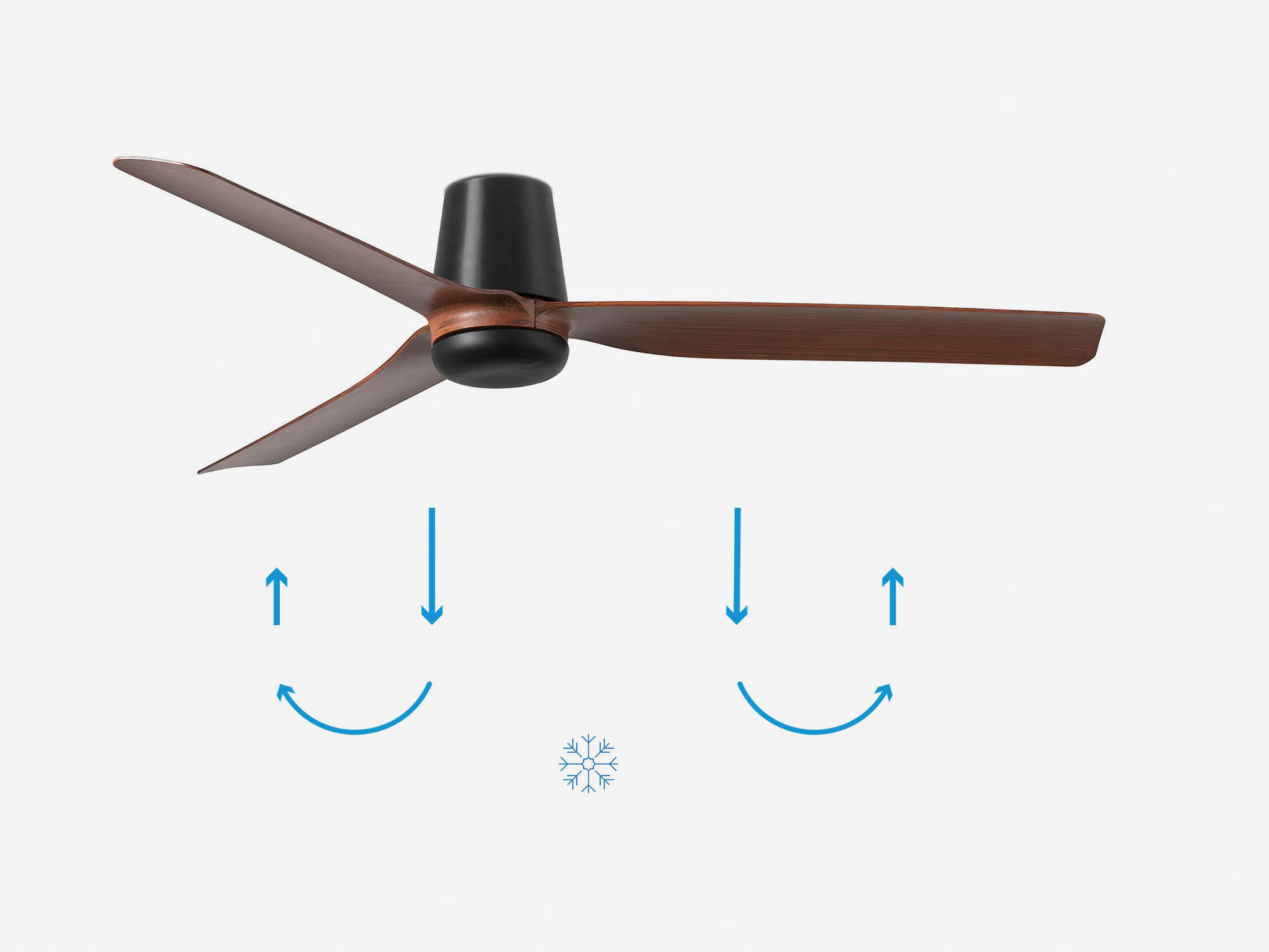 PUNT TUB M Black/walnut fan