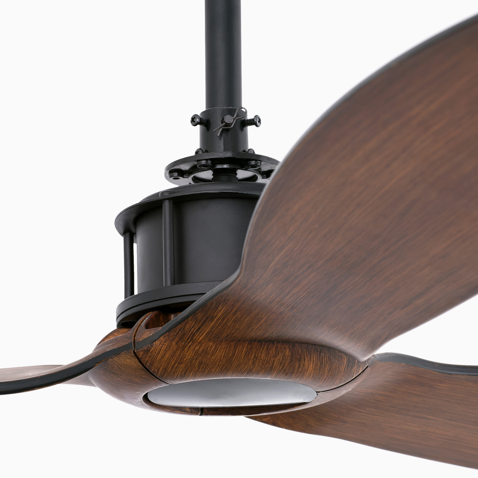 JUST FAN M Black/walnut fan UL