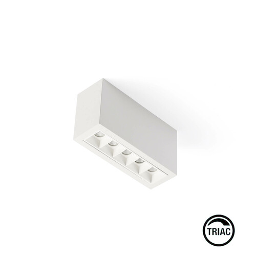 TROOP Superficie 5x2W white-white 36° 3000K CRI90 TRIAC