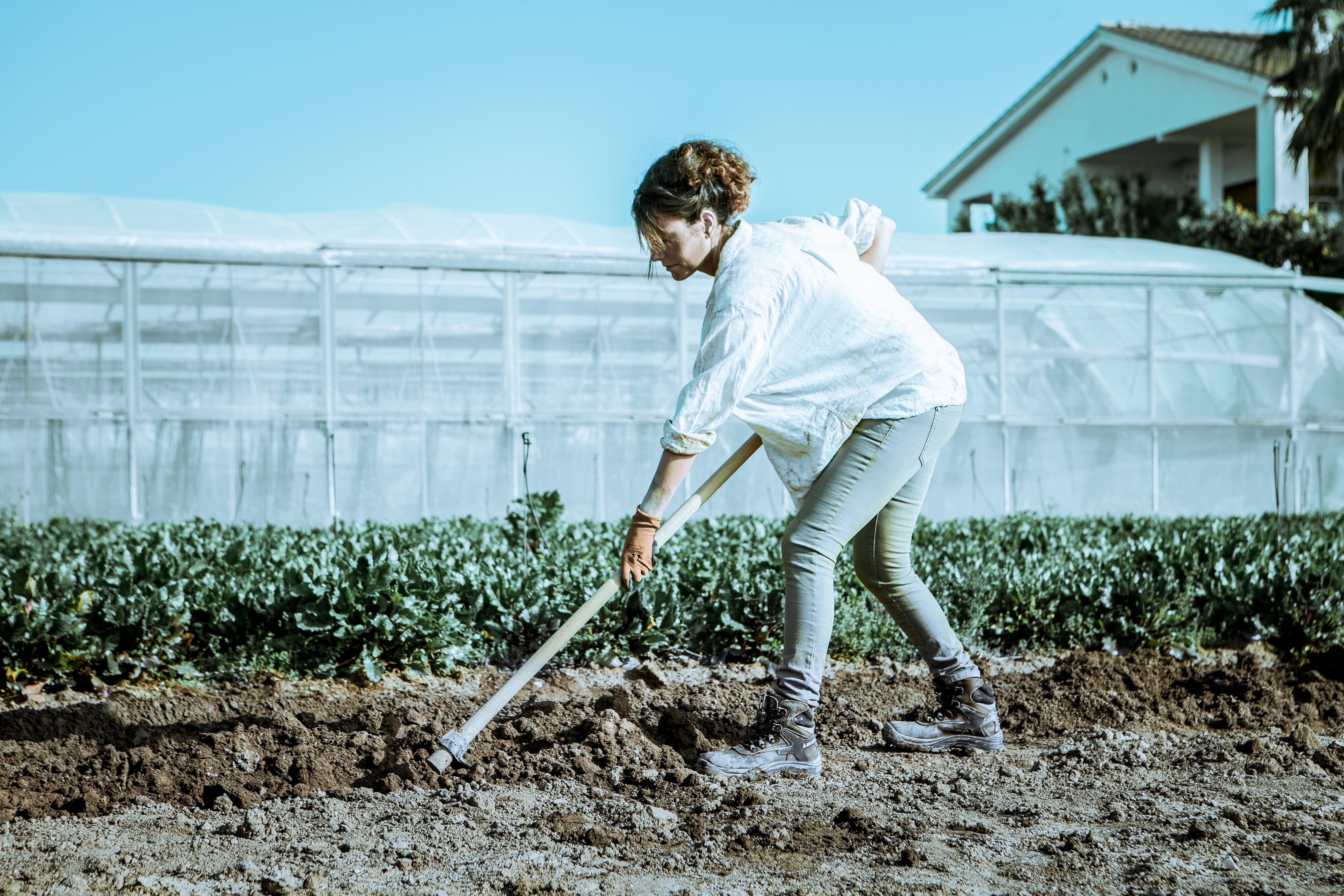 Para la agricultura | Bellota