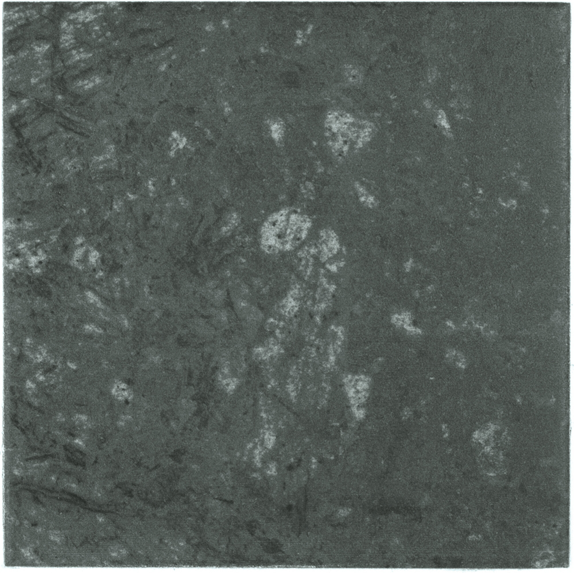 CARMEN-SELVA 15X15