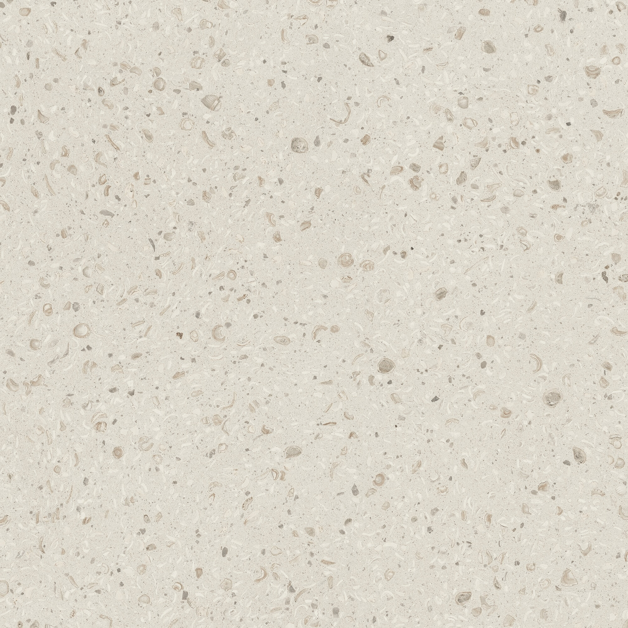 Products - APE GRUPO