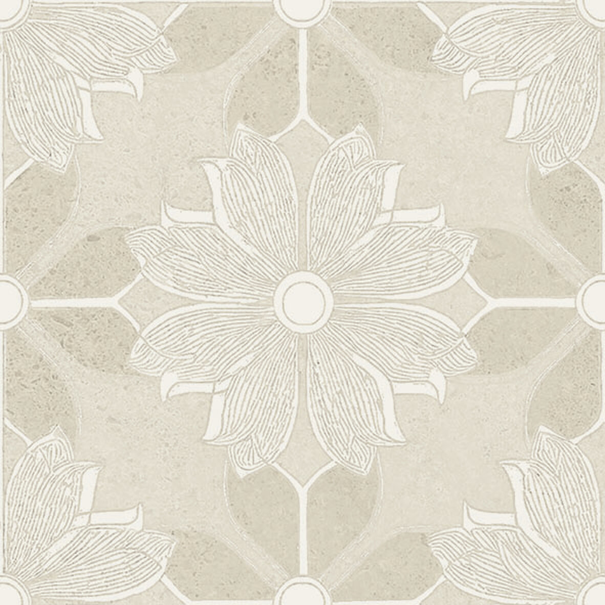 Products - APE GRUPO