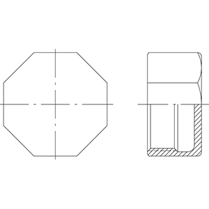 AISI 316 Stainless Steel Fittings Hexagonal Cap Figure 300 | Atusa