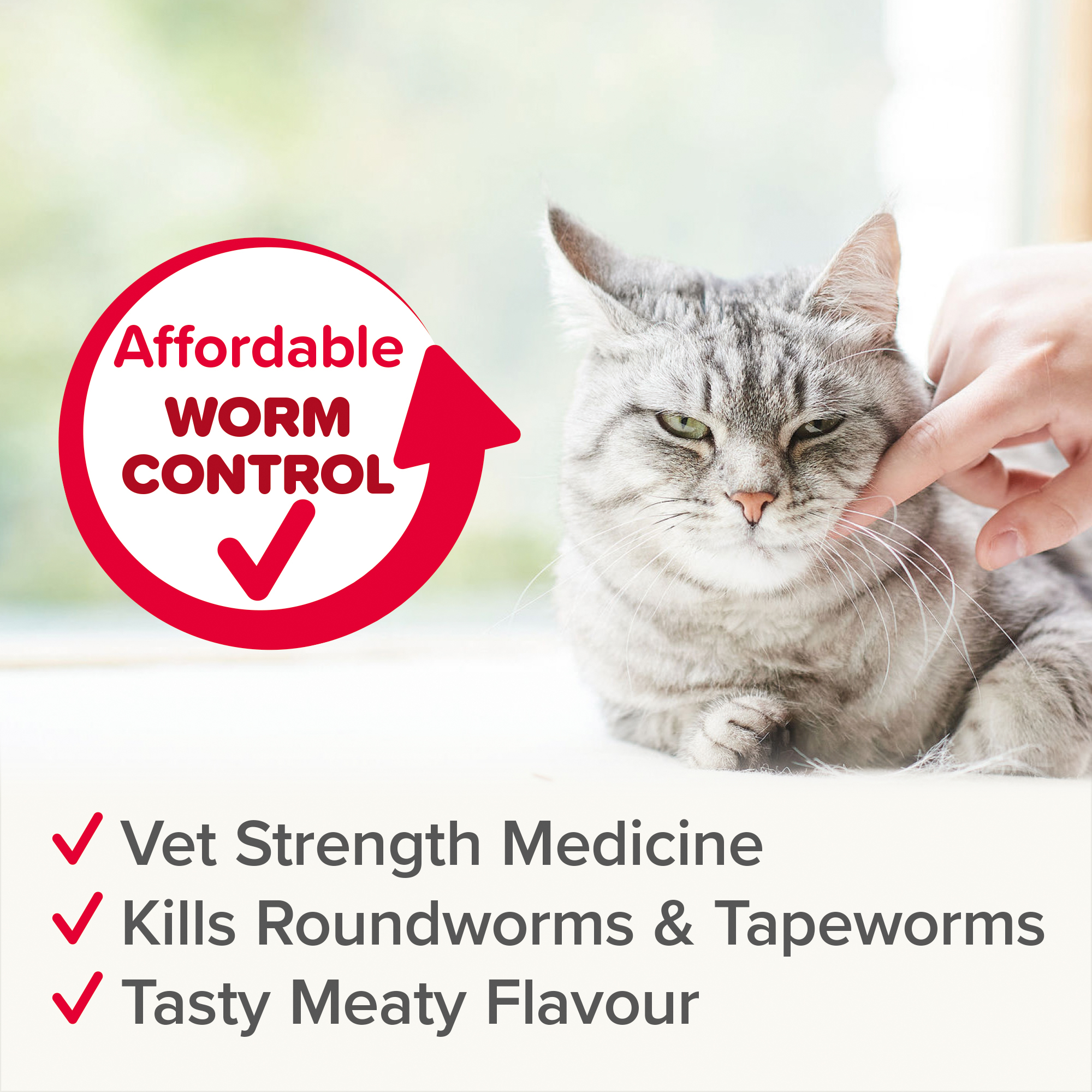 Beaphar WORMclear® Worming Tablets for Cats | 4 Tablets - Beaphar