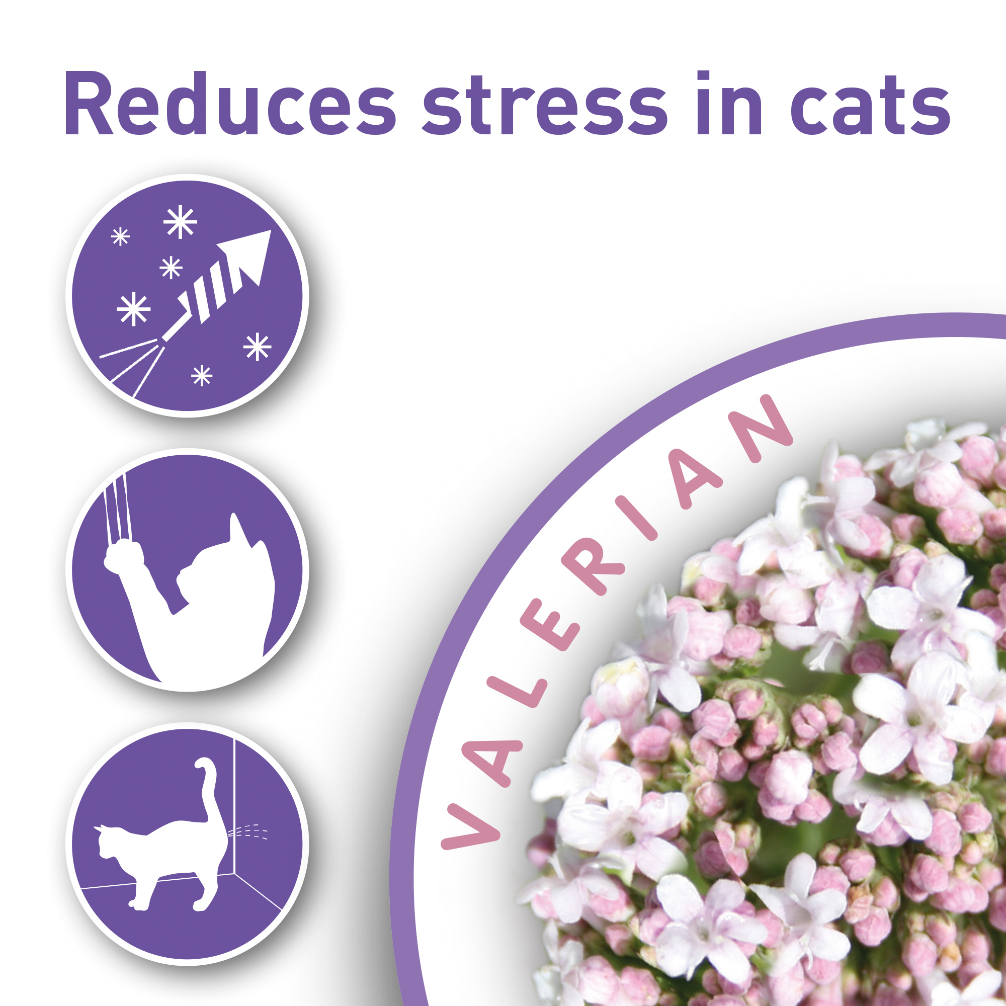 Beaphar Calming Valerian & Lavender Collar for Cats - Beaphar