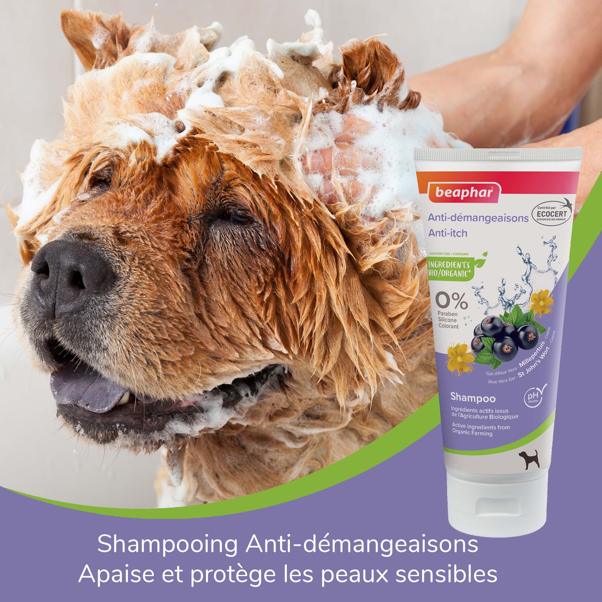 Shampoing anti-démangeaisons labellisé ECOCERT pour chien - Beaphar