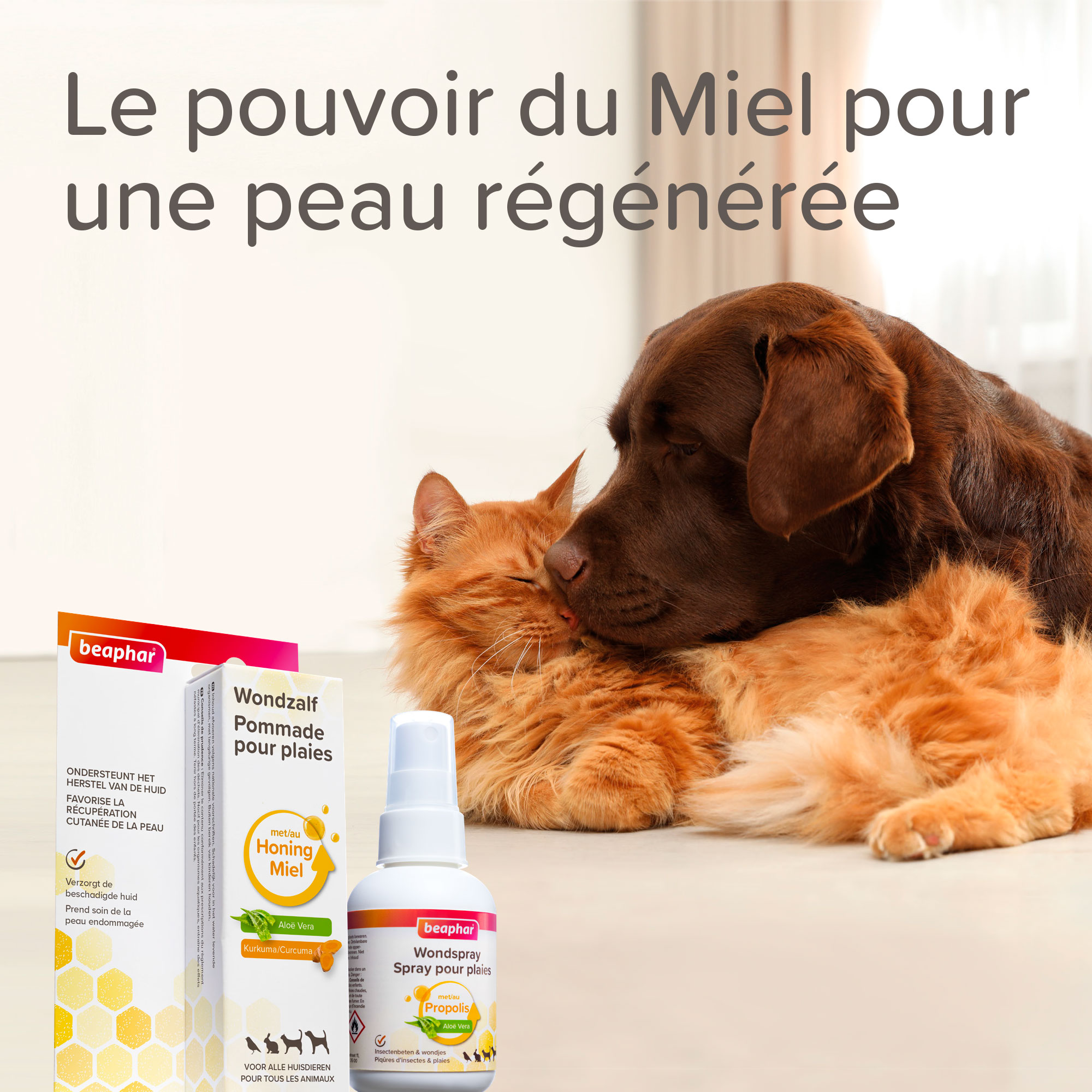 Spray pour plaies pour tous les animaux - Beaphar