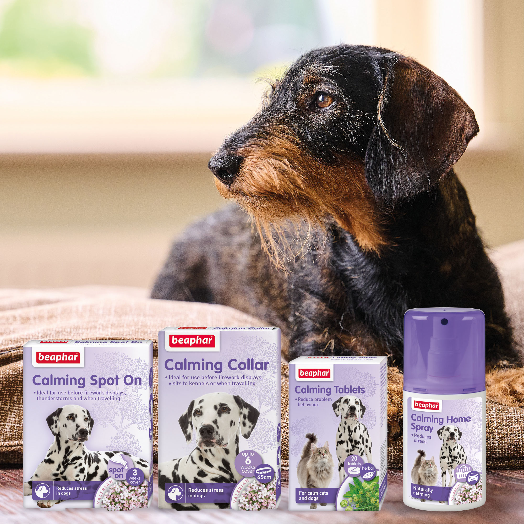 Beaphar Calming Spot On hund - Beaphar