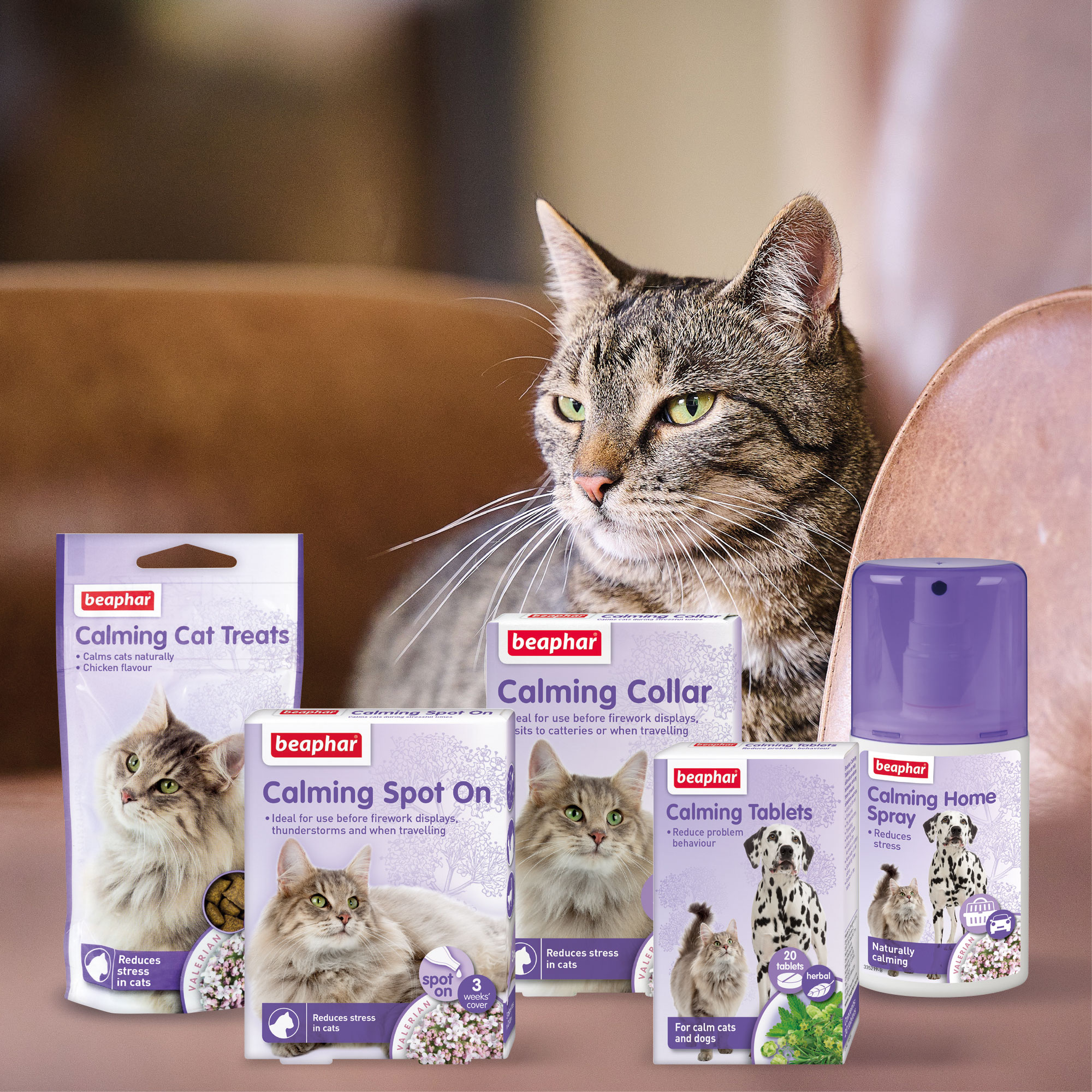 Beaphar Calming Valerian Spot On for Cats - Beaphar