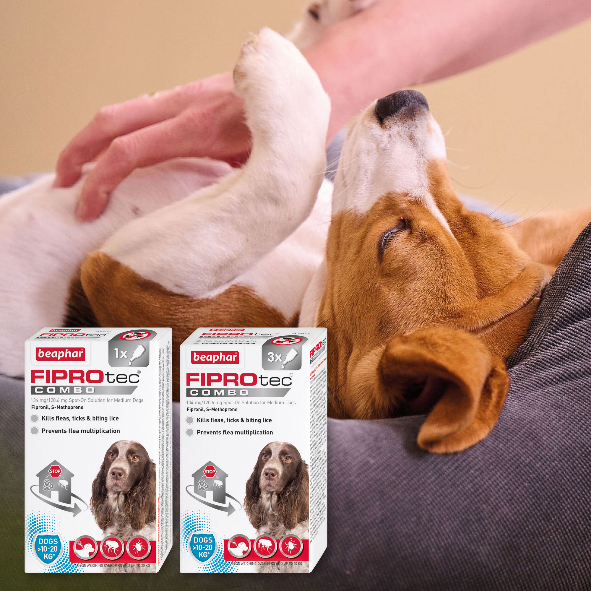 Beaphar FIPROtec® COMBO Flea & Tick Spot-On for Medium Dogs | 10-20kg ...