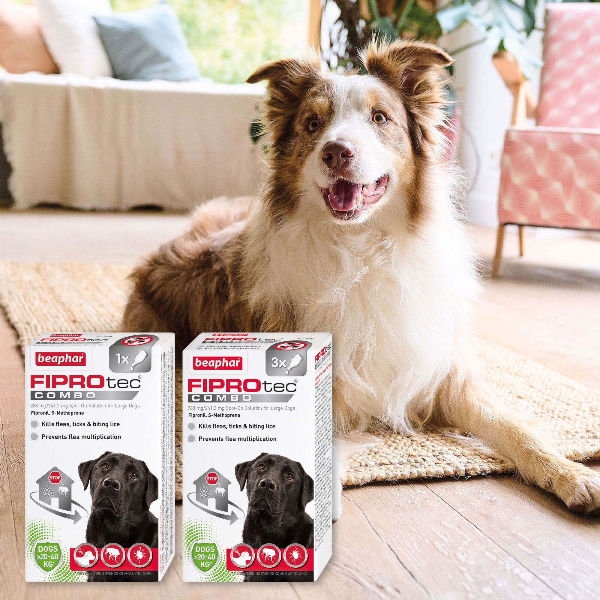 Beaphar FIPROtec® COMBO Flea & Tick Spot-On for Large Dogs | 20-40kg ...