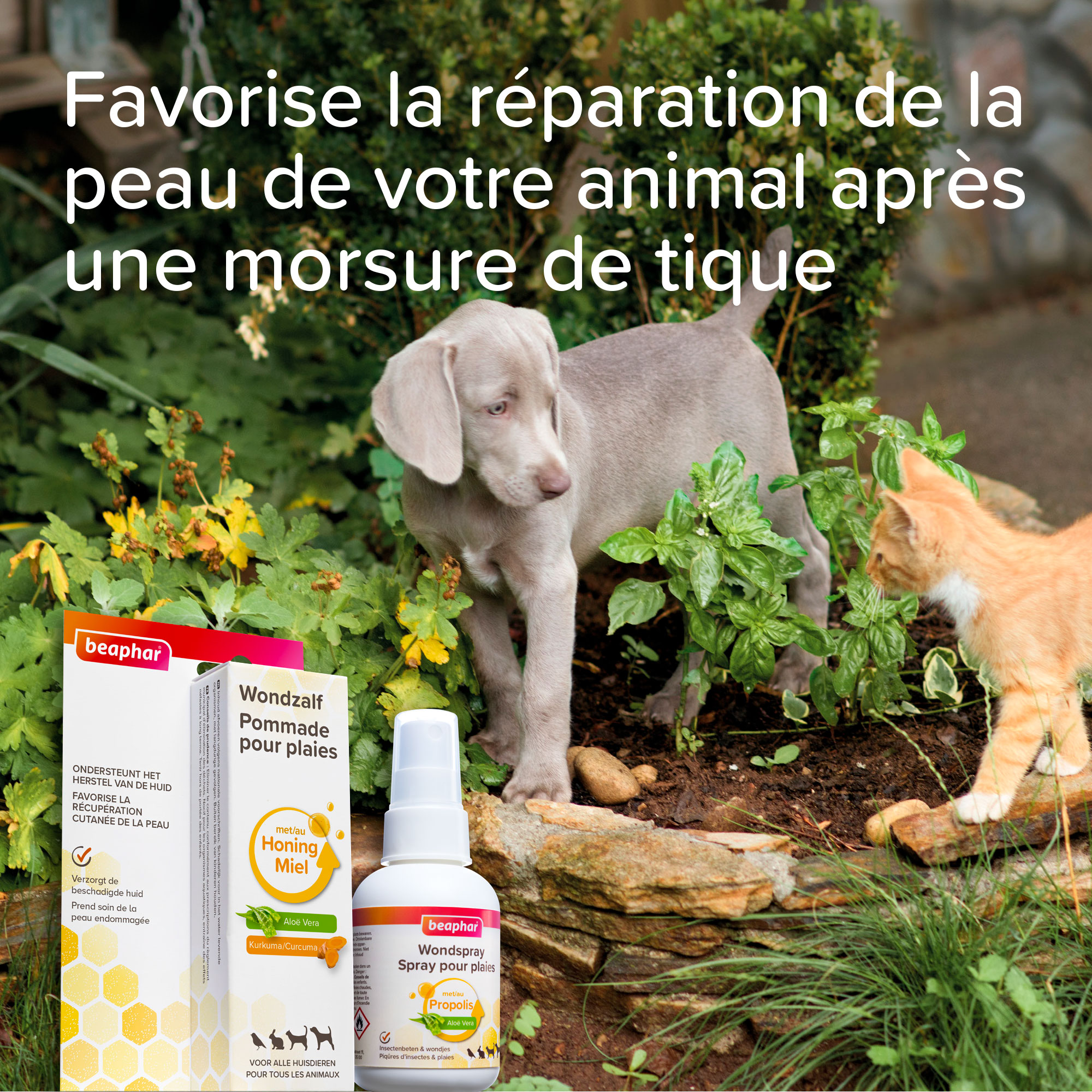 Pommade pour plaies pour tous les animaux - Beaphar