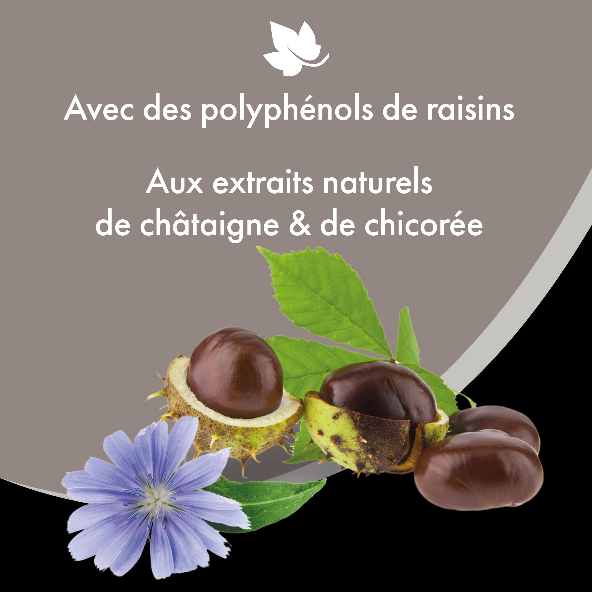 Shampooing pour pelage noir extraits naturels de châtaigne & de ...