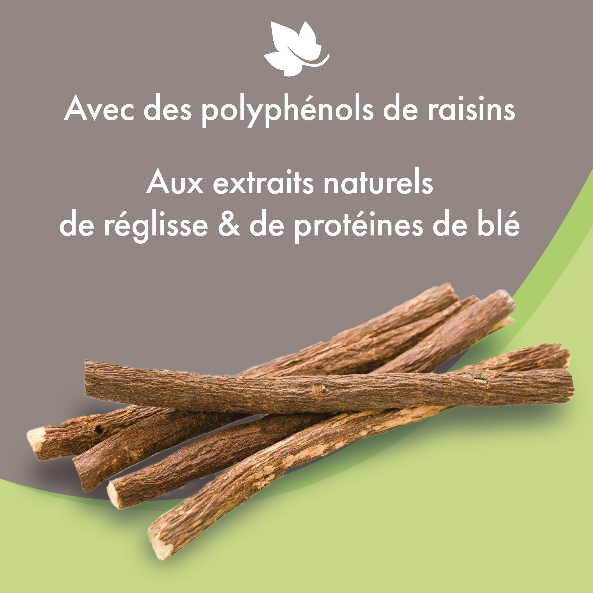 Shampooing doux tous pelages extraits naturels de réglisse & de ...