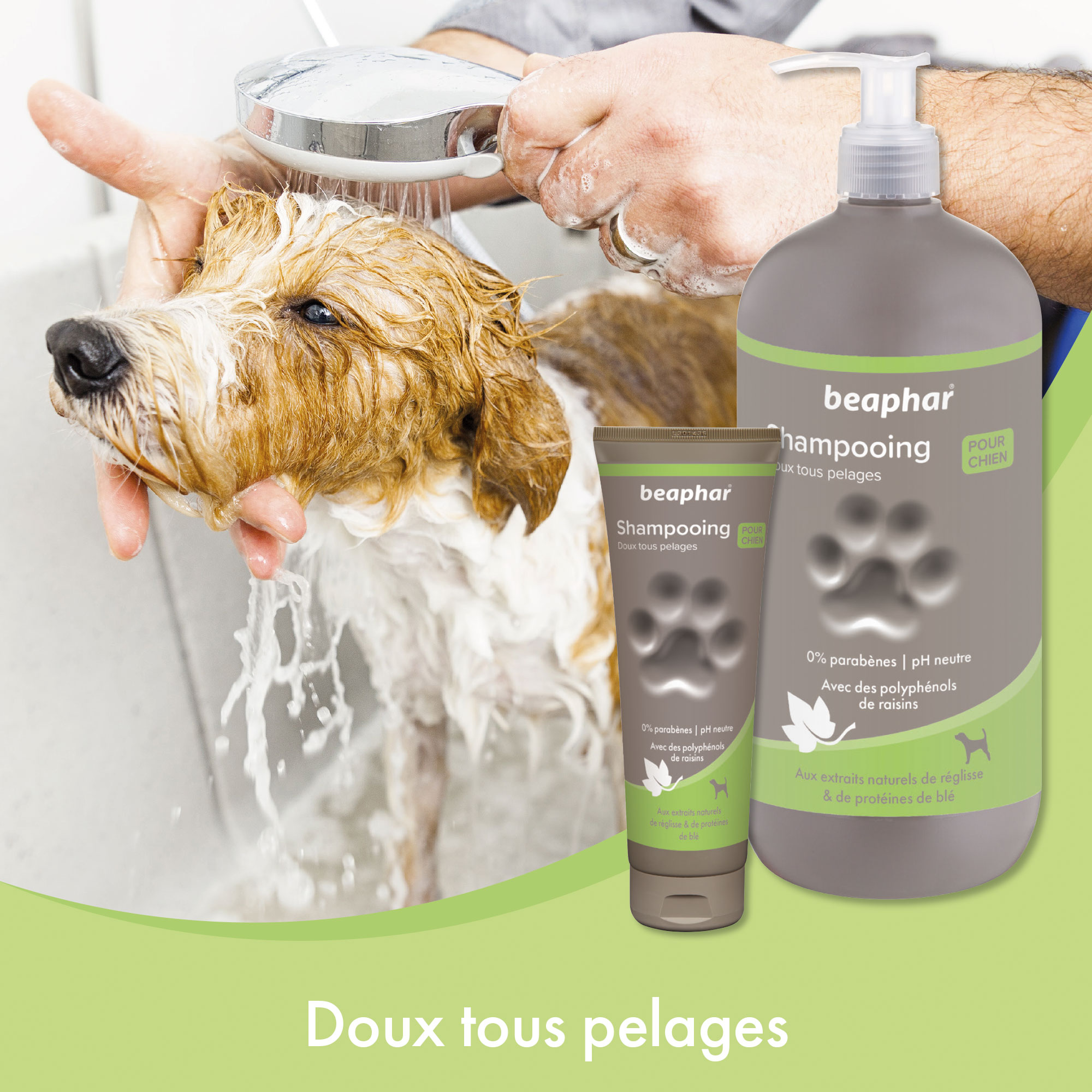 Shampooing doux tous pelages extraits naturels de réglisse & de ...