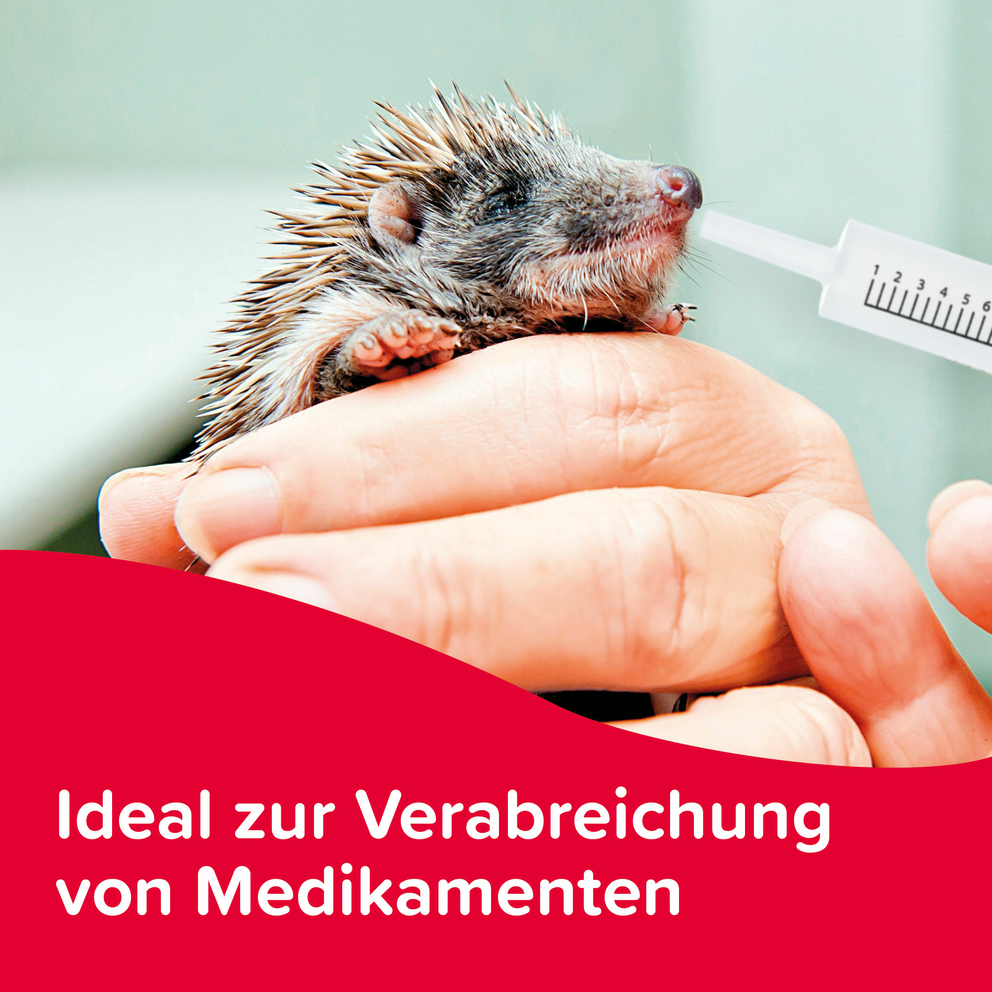 Lactol Fütterungsspritzen, 2 St. - Beaphar