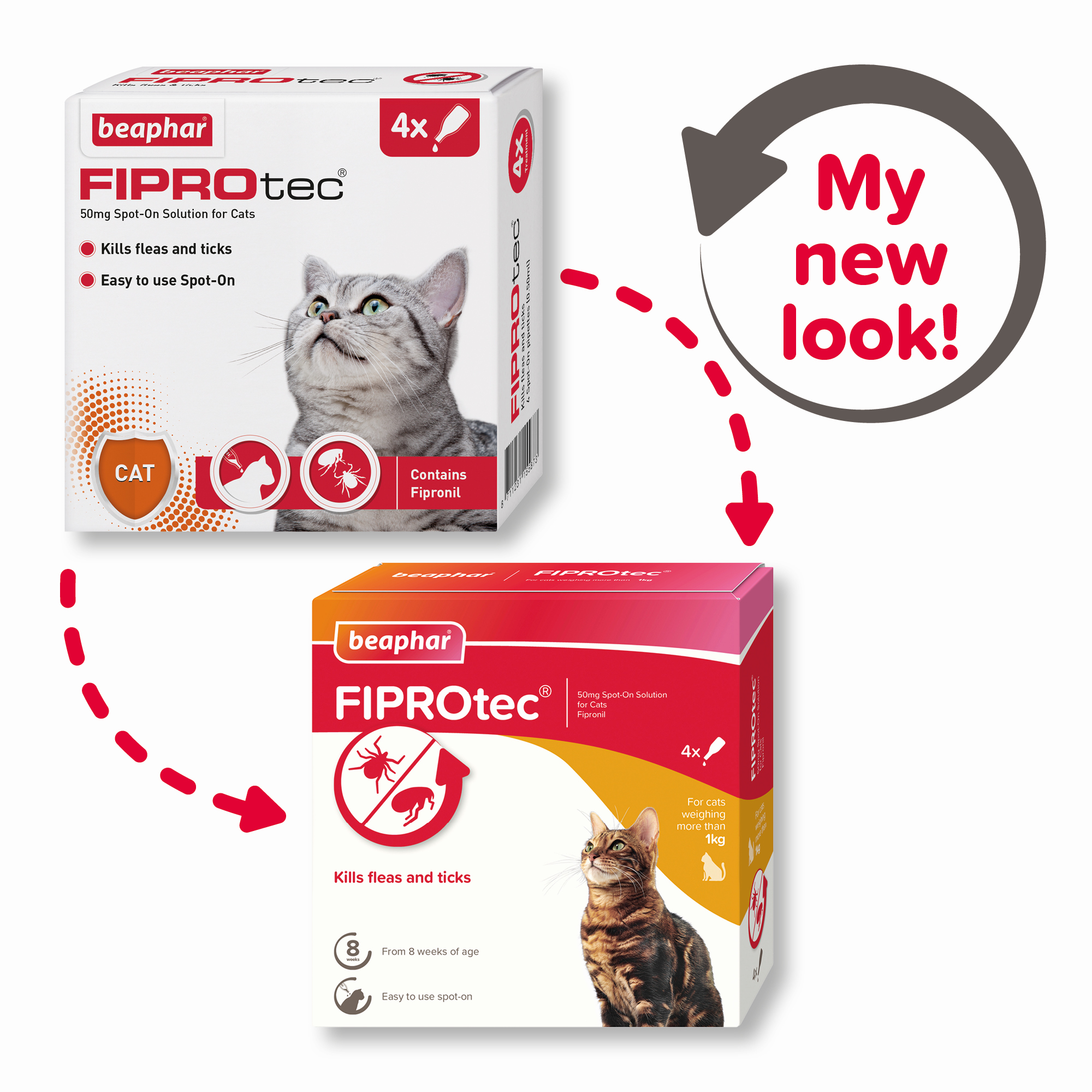 Beaphar FIPROtec® Flea & Tick Spot-On for Cats | 1 Pipette - Beaphar