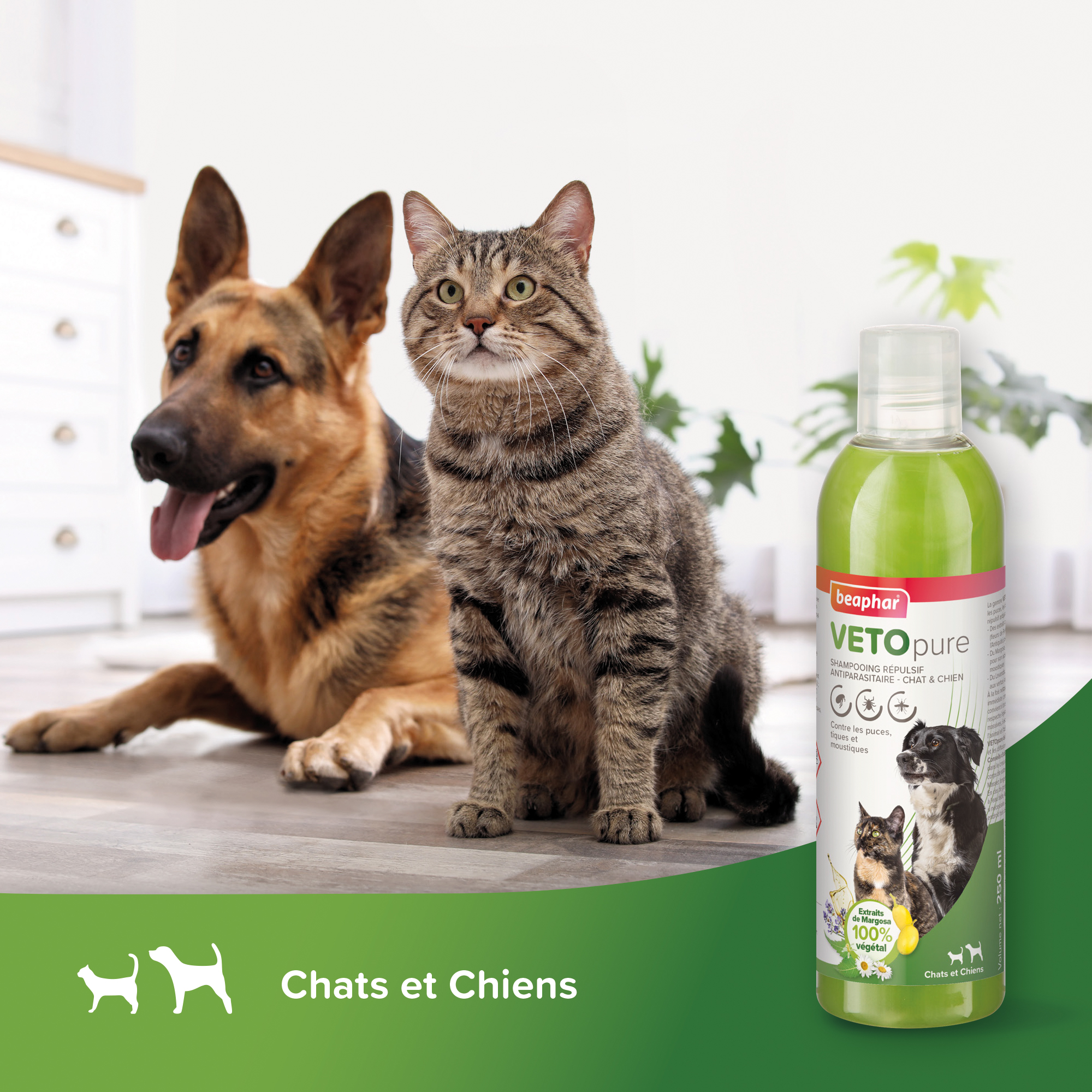 VETOpure, shampooing répulsif antiparasitaire pour chien et chat - Beaphar