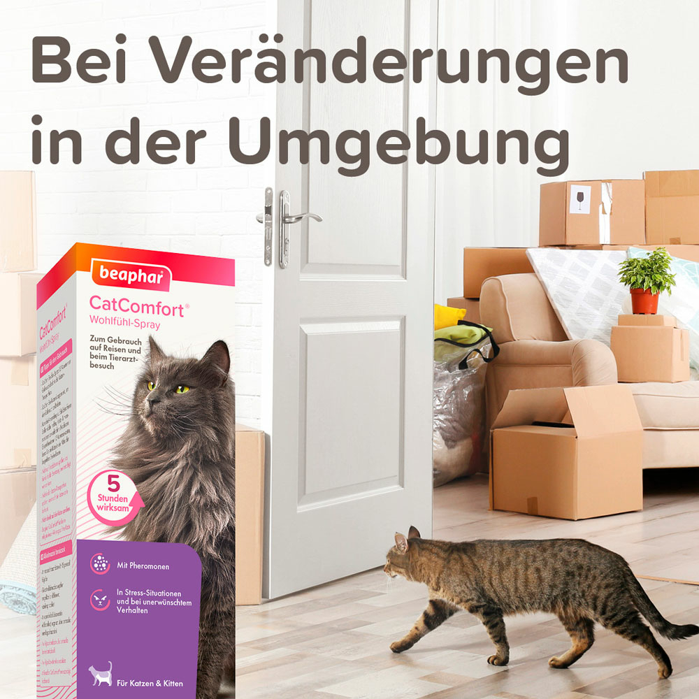 Beaphar CatComfort® Wohlfühl-Spray, 30ml - Beaphar