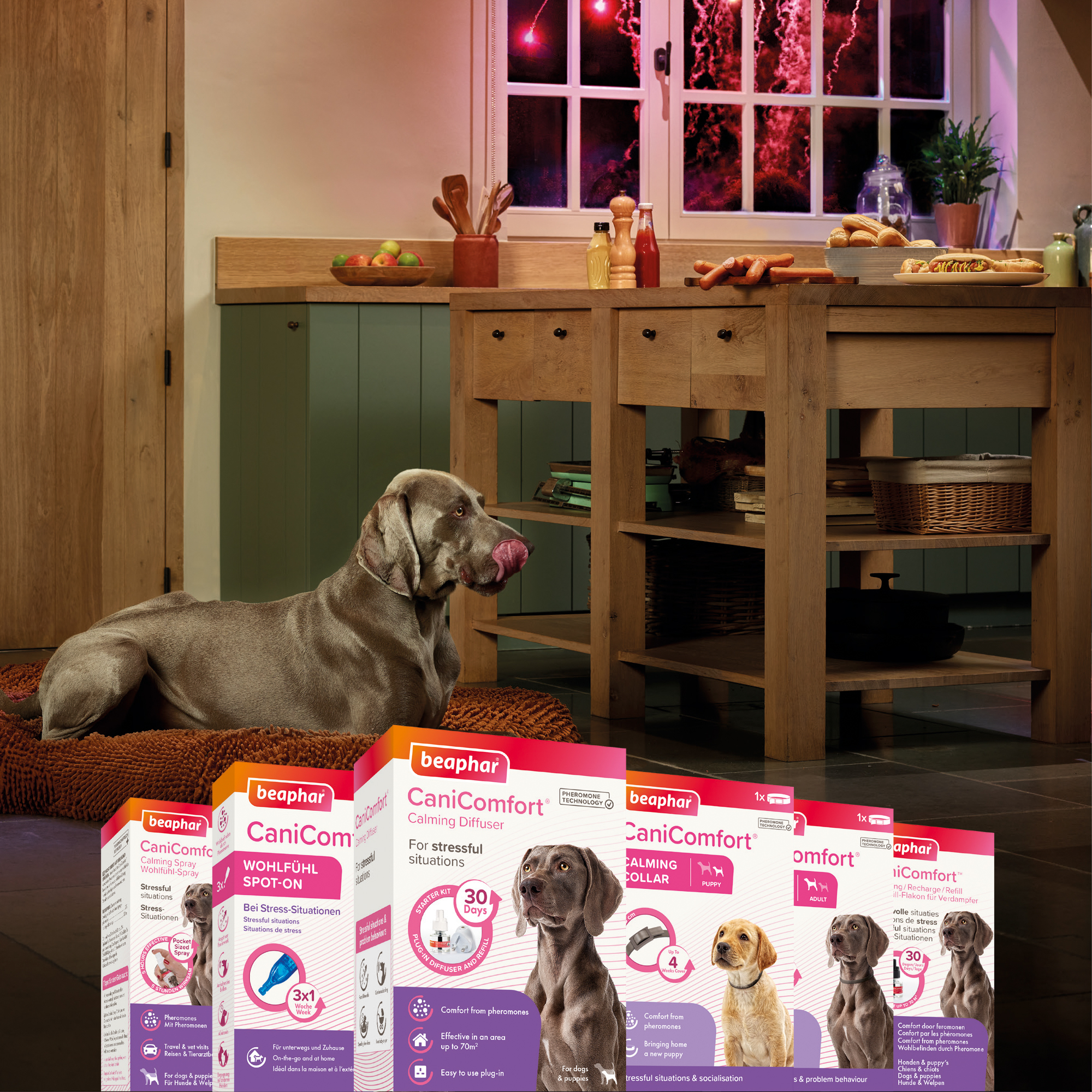 Beaphar CaniComfort® Calming Spot-On for Dogs - Beaphar