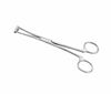 Skin Piercing Tools - Septum Forceps | Tattooland