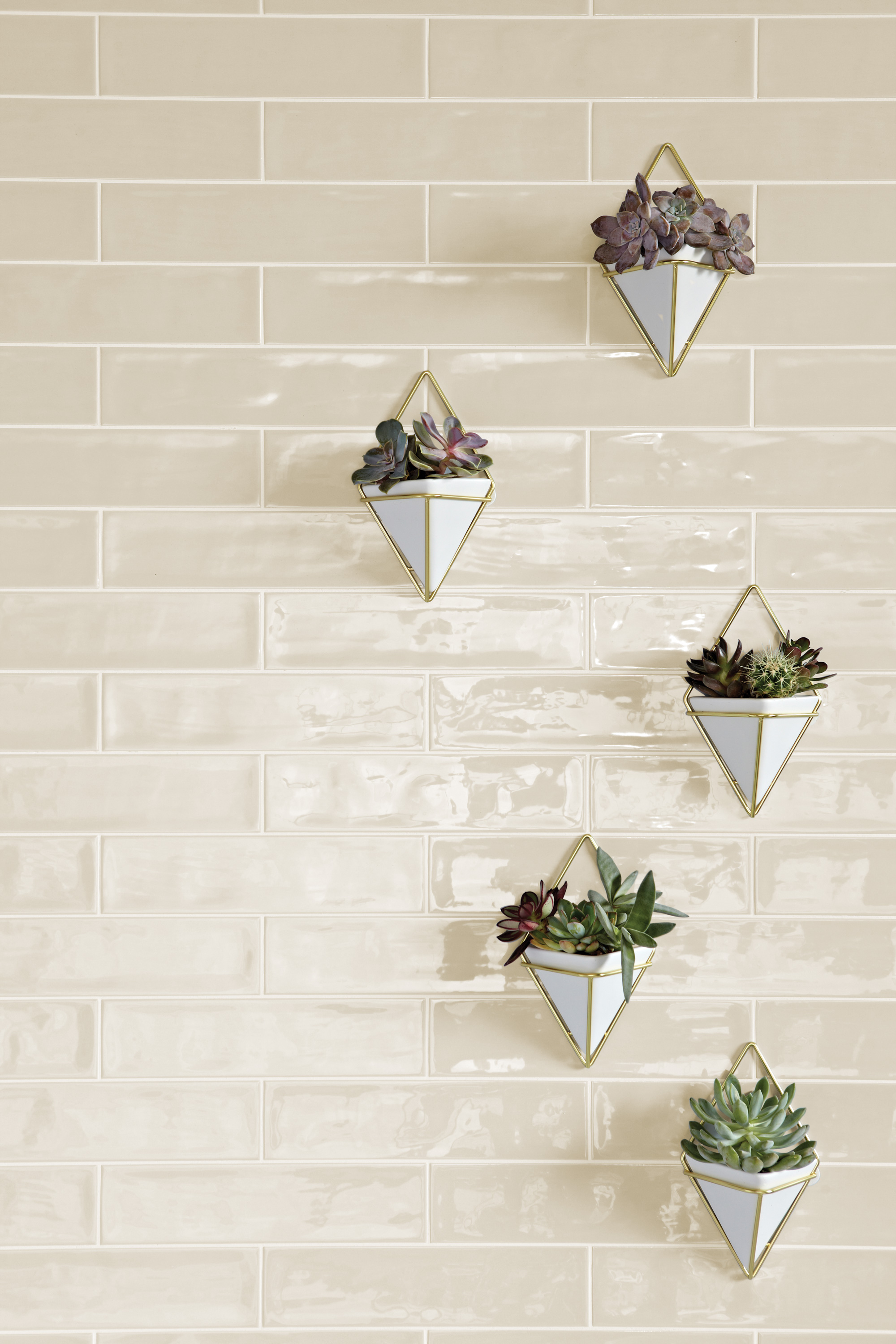 Origin Mushroom | Origin | Ceramic | AKDO